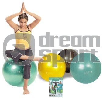 Míč Plus Gymnic 55 cm - zelený Dreamsport.cz